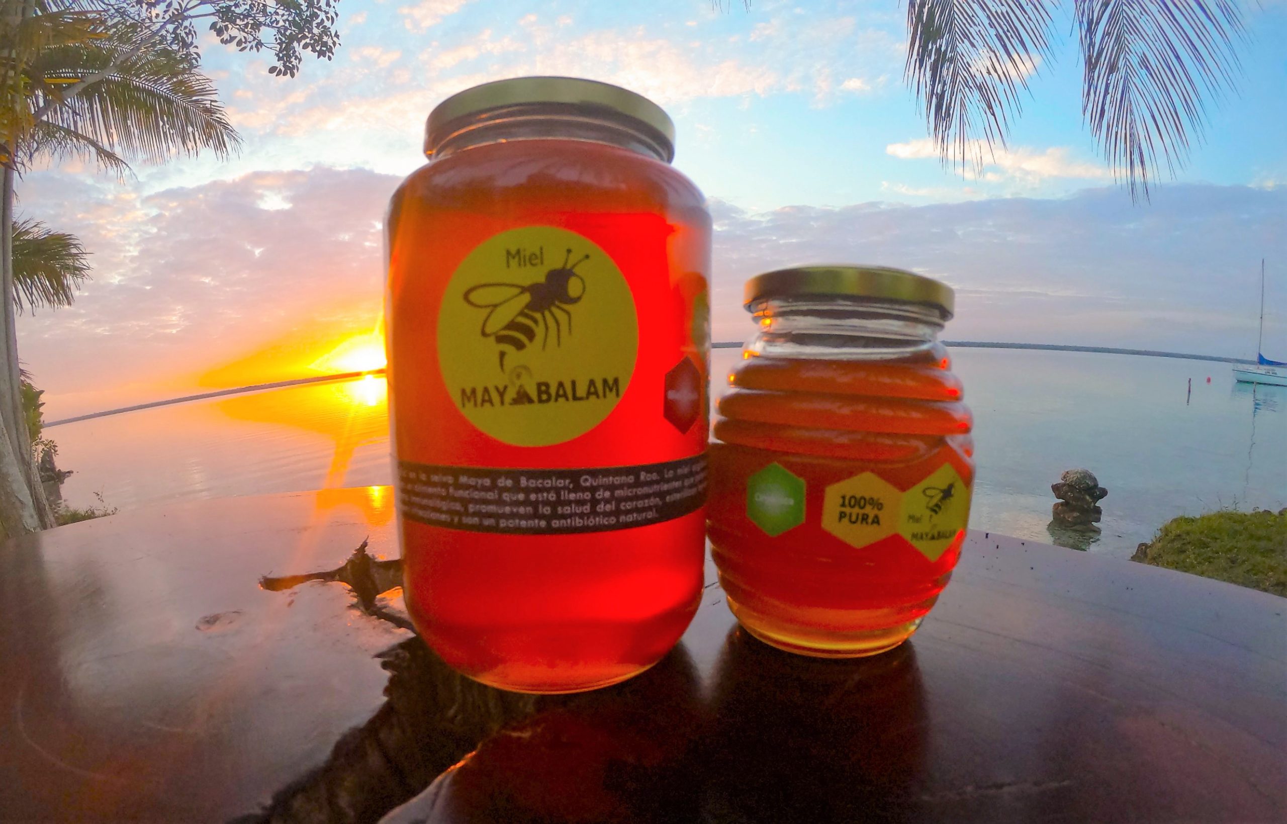 Miel de la selva Maya de Bacalar 🐝=💓 - Miel MayaBalam Tienda